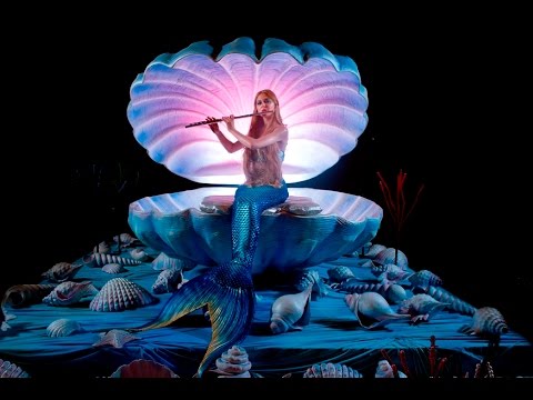Flute Mermaid Show International Foreigner Player Girl Female Solo ...