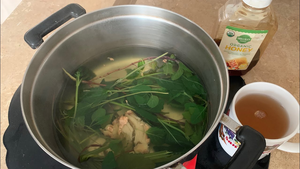 Organic Bush Tea benefits - YouTube