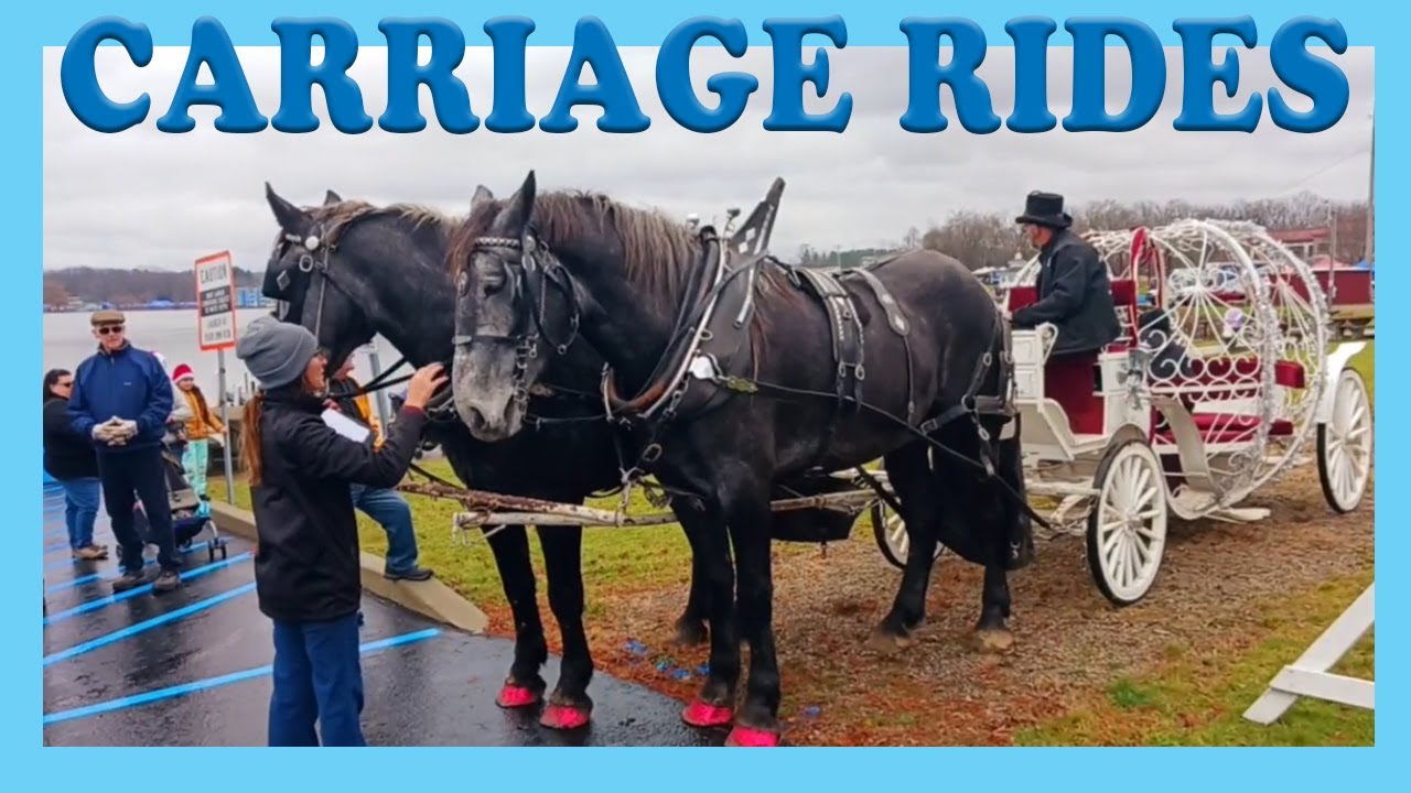 Carriage Rides - Ice House Festival #carriagerides - YouTube