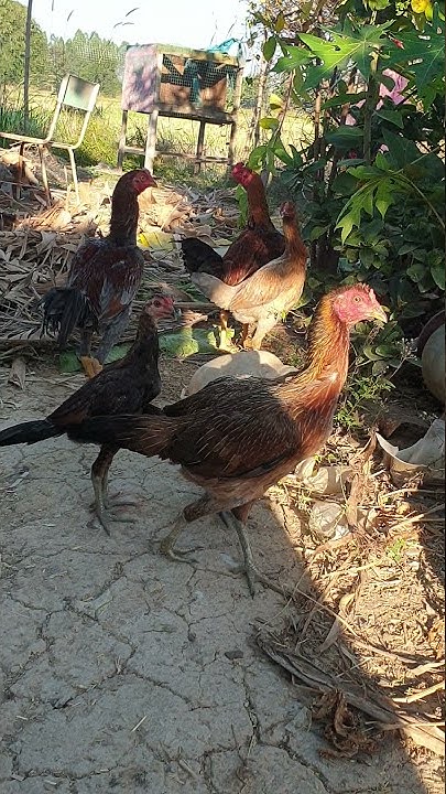 H01 / 30 พ.ย 2564 - YouTube