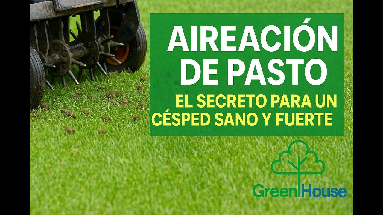 Aireación de pasto: El secreto para un césped sano y fuerte 🌿 Green ...