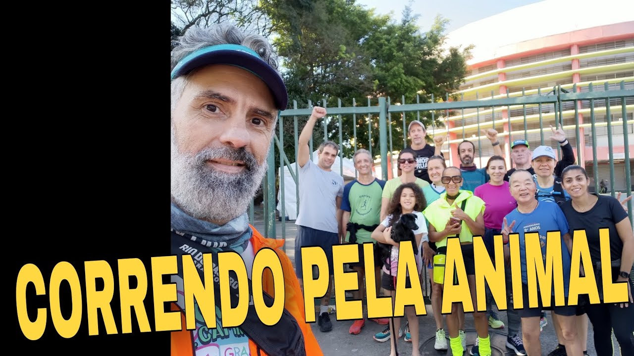 CORRENDO PELA ANIMAL! - YouTube