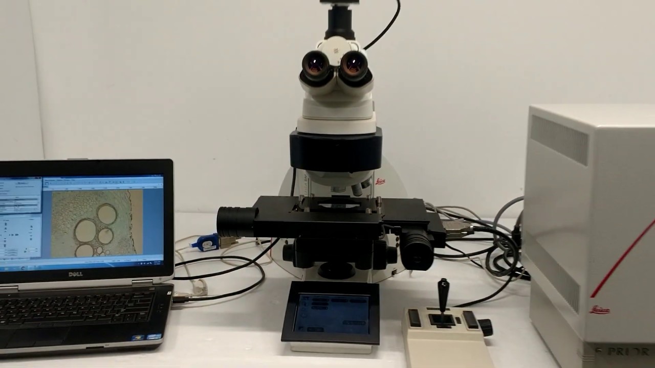 Leica DM6000 B Motorized Fluorescence Phase Contrast Microscope DM6000B [BOSTONIND] - 14979 ...