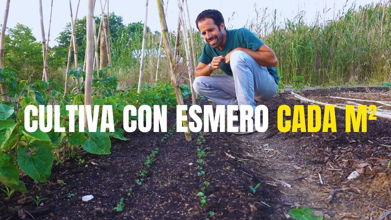 Cultivando con esmero cada m² - YouTube