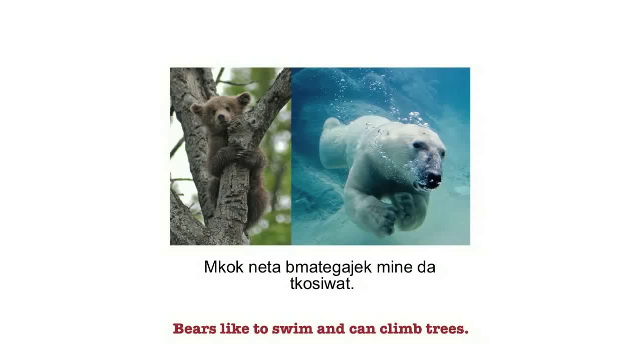 Mkok Video edited - YouTube