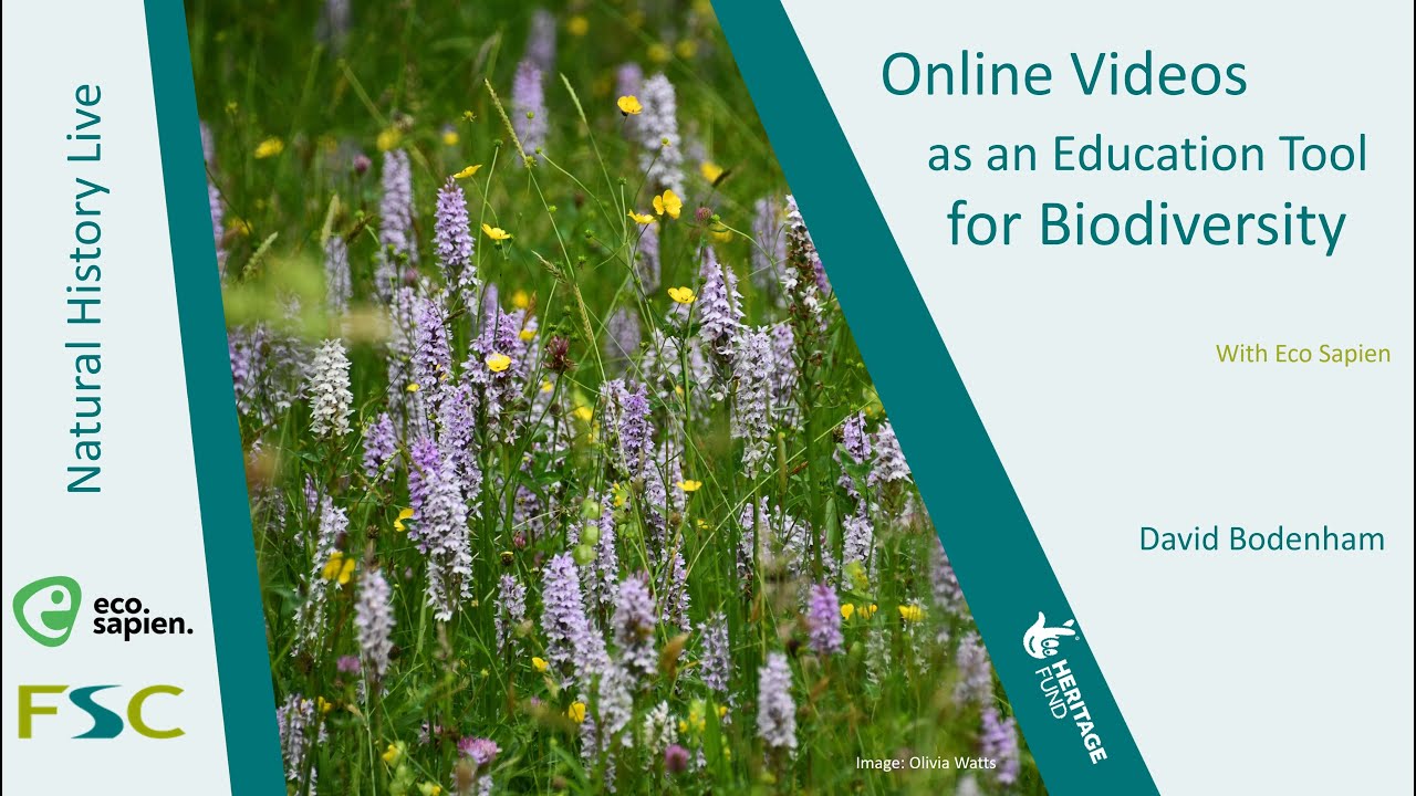 Online Videos as an Education Tool for Biodiversity - YouTube