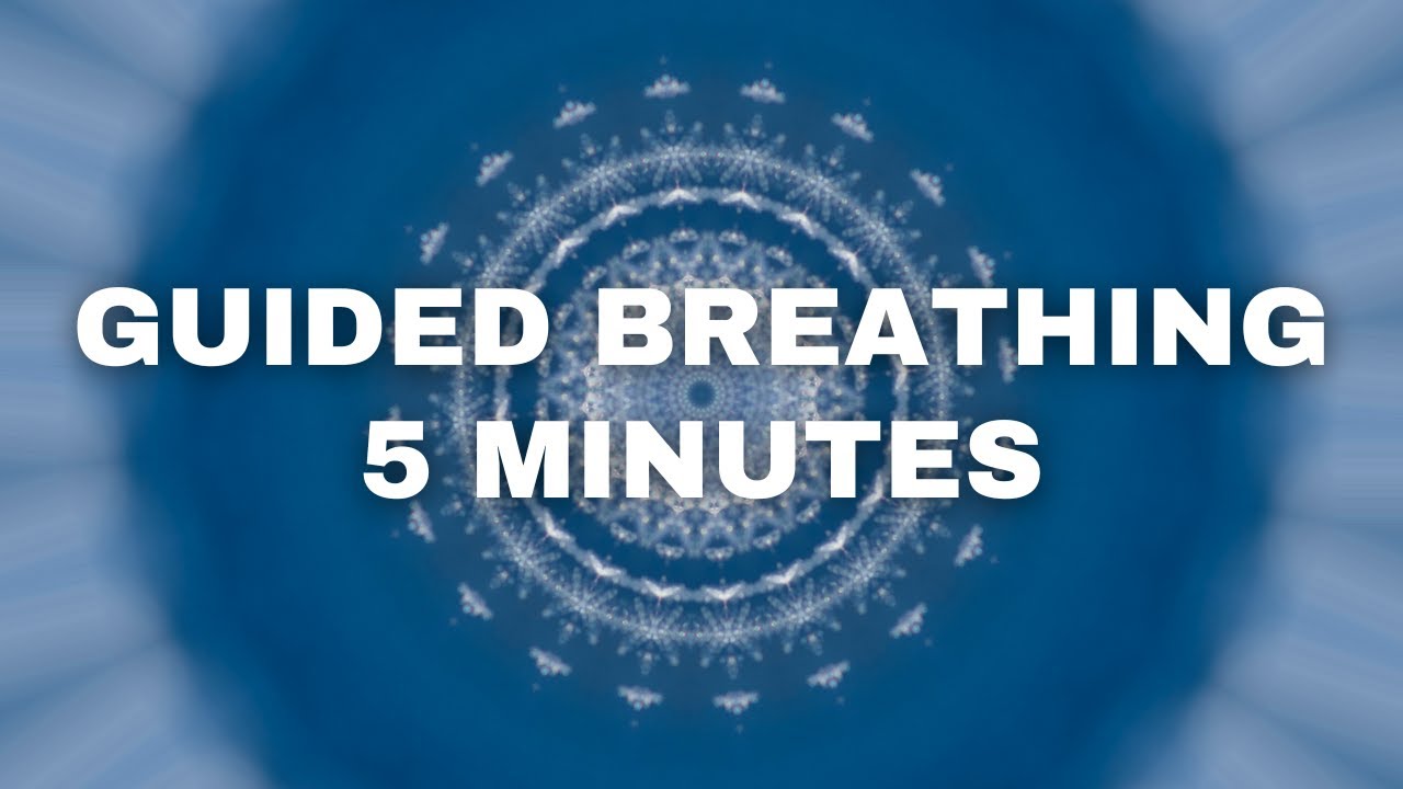 ivoryHAUS - Reflection | Guided Breathing Exercise (No Talking ...