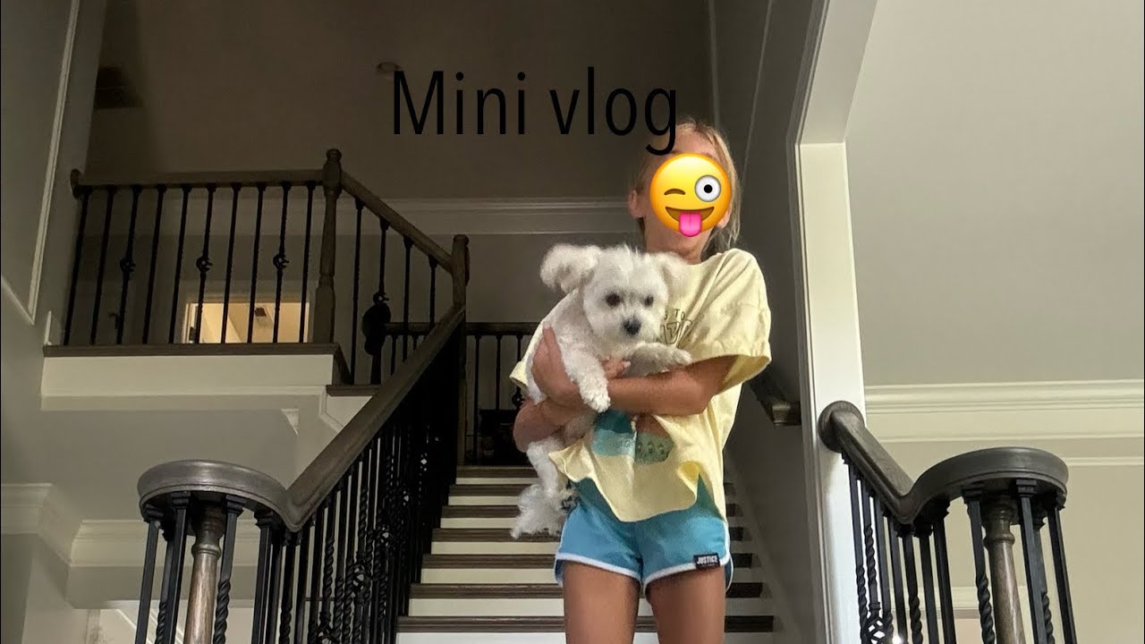 Mini vlog - YouTube