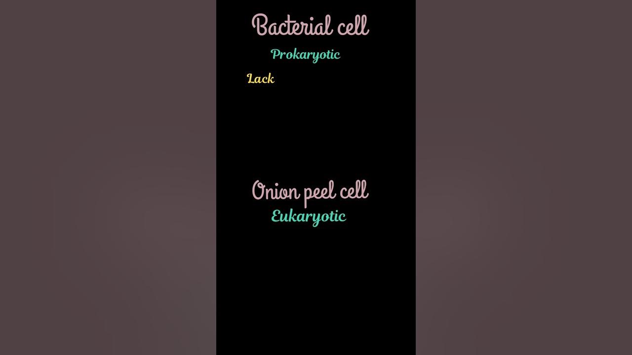 Difference between bacterial cell and onion peel cell #difference #science #biology #cell - YouTube
