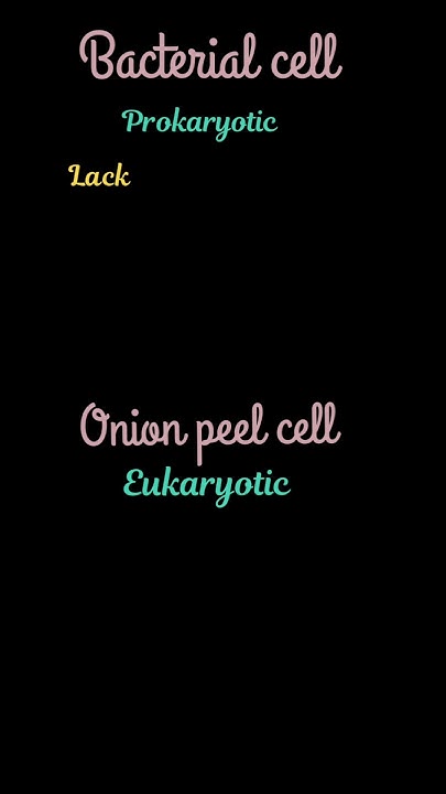Difference between bacterial cell and onion peel cell #difference #science #biology #cell - YouTube
