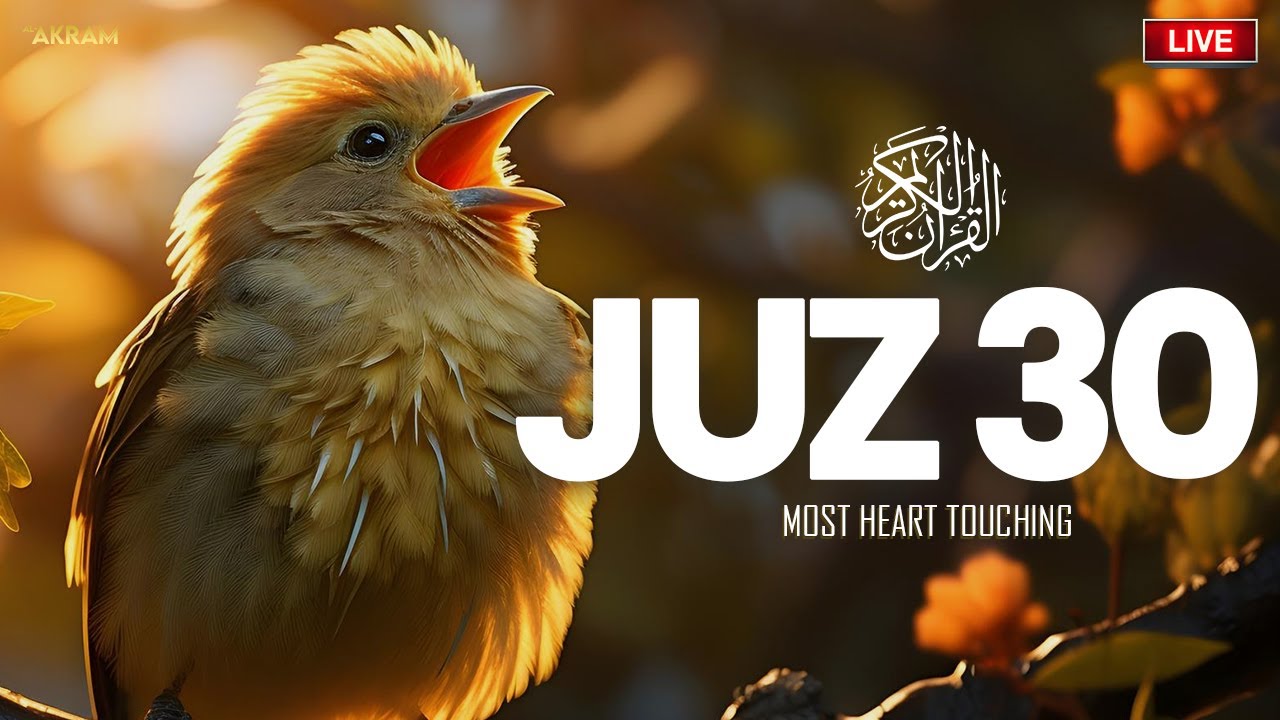 LIVE : MUROTTAL MERDU BACAAN QURAN JUZ 30 | BEAUTIFUL RECITATION OF # ...