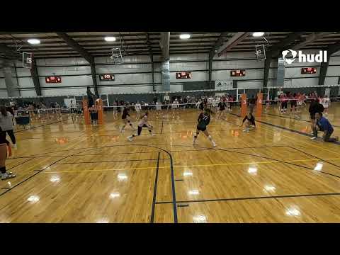 🌸 Adidas Spring Fest | Defense 🌸