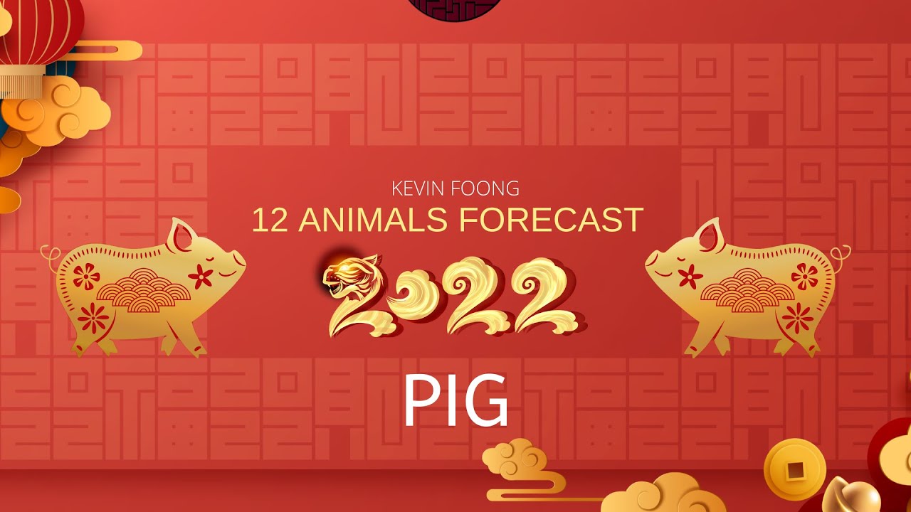 2022 Animal Sign Forecast: Pig [Kevin Foong] - YouTube