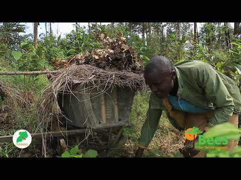 How To Make Ugandan Local Bee Hives That Don't Cost Any Money Yet Very ...