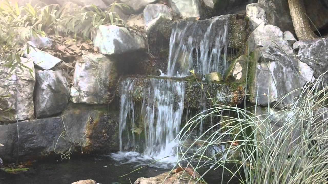 [ Parc Phoenix ] Mini cascade d’intérieur - YouTube