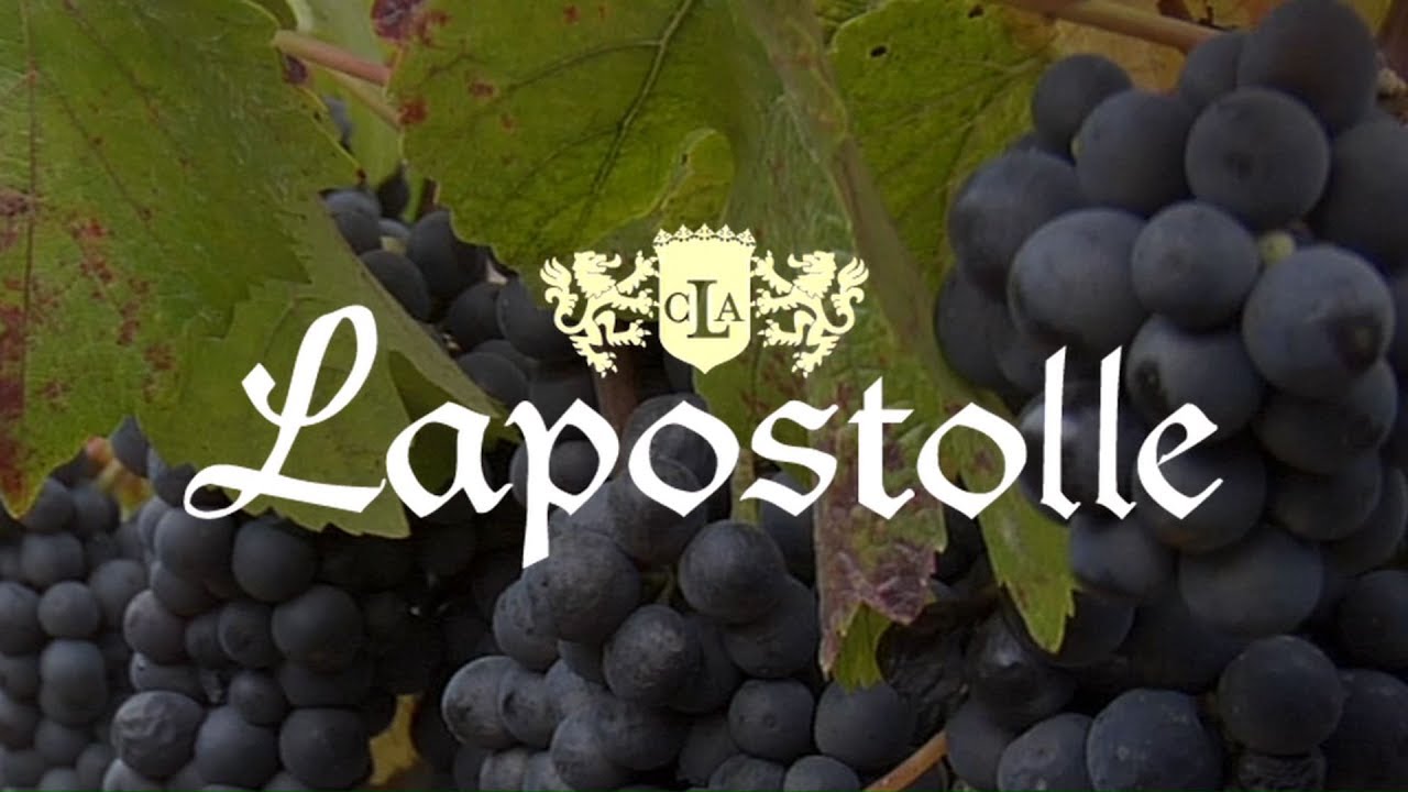 Lapostolle Corporate Video, 2012 - English - YouTube