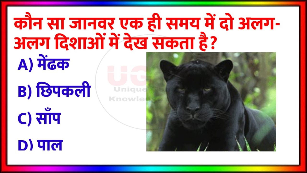 GK QUESTIONS सवाल जवाब part 13 #gk #gkhindi Unique general knowledge Study - YouTube