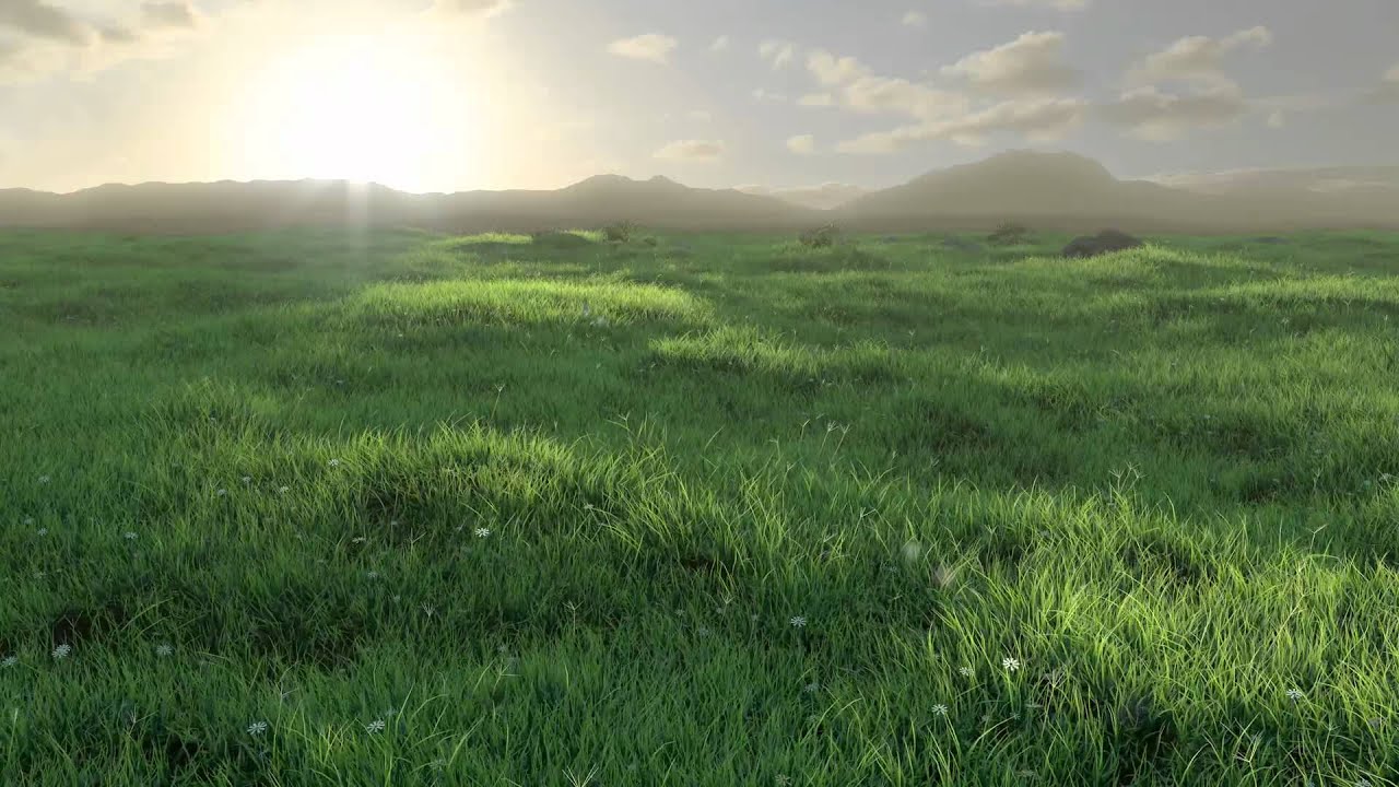 Nature Academy Grass Tutorial Animation - YouTube