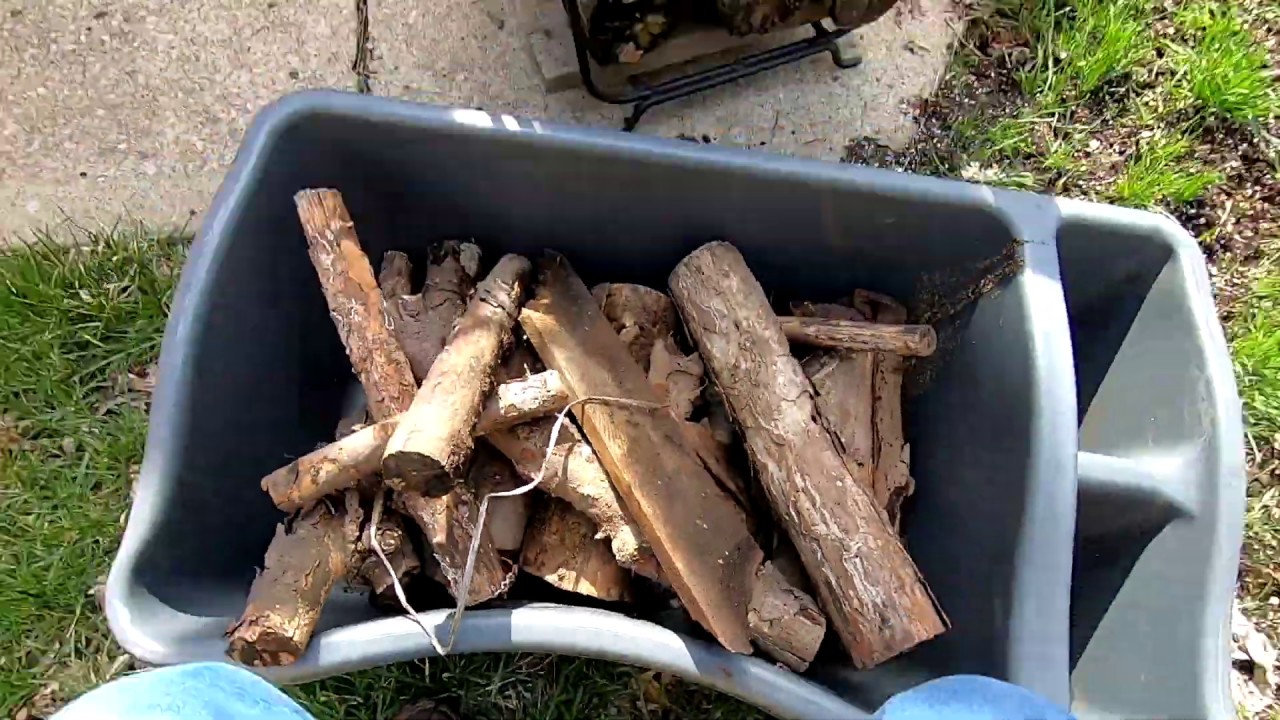 LAS COSAS QUE TIRAN EN LA USA / Como recoger hojas secas del jardin ...