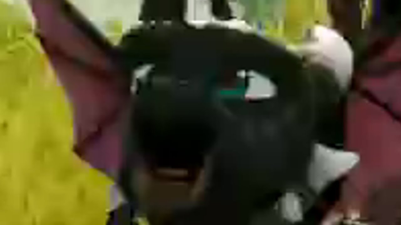 Spyro The Dragon Reignited But It's Just Memes - YouTube