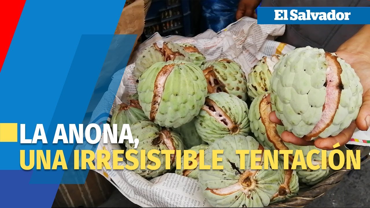 La anona, una irresistible tentación al paladar - YouTube