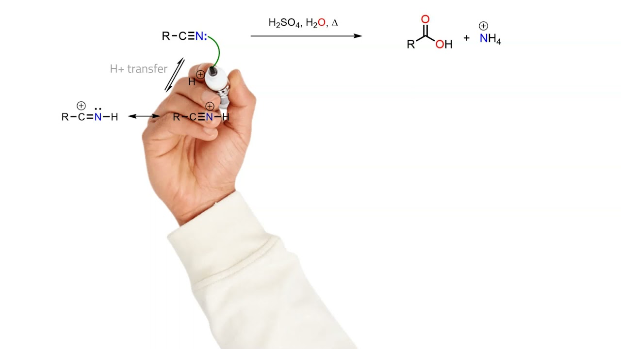 Nitrile Hydrolysis Mechanism - YouTube