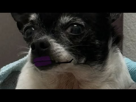Fiona music baby!!(original) - YouTube
