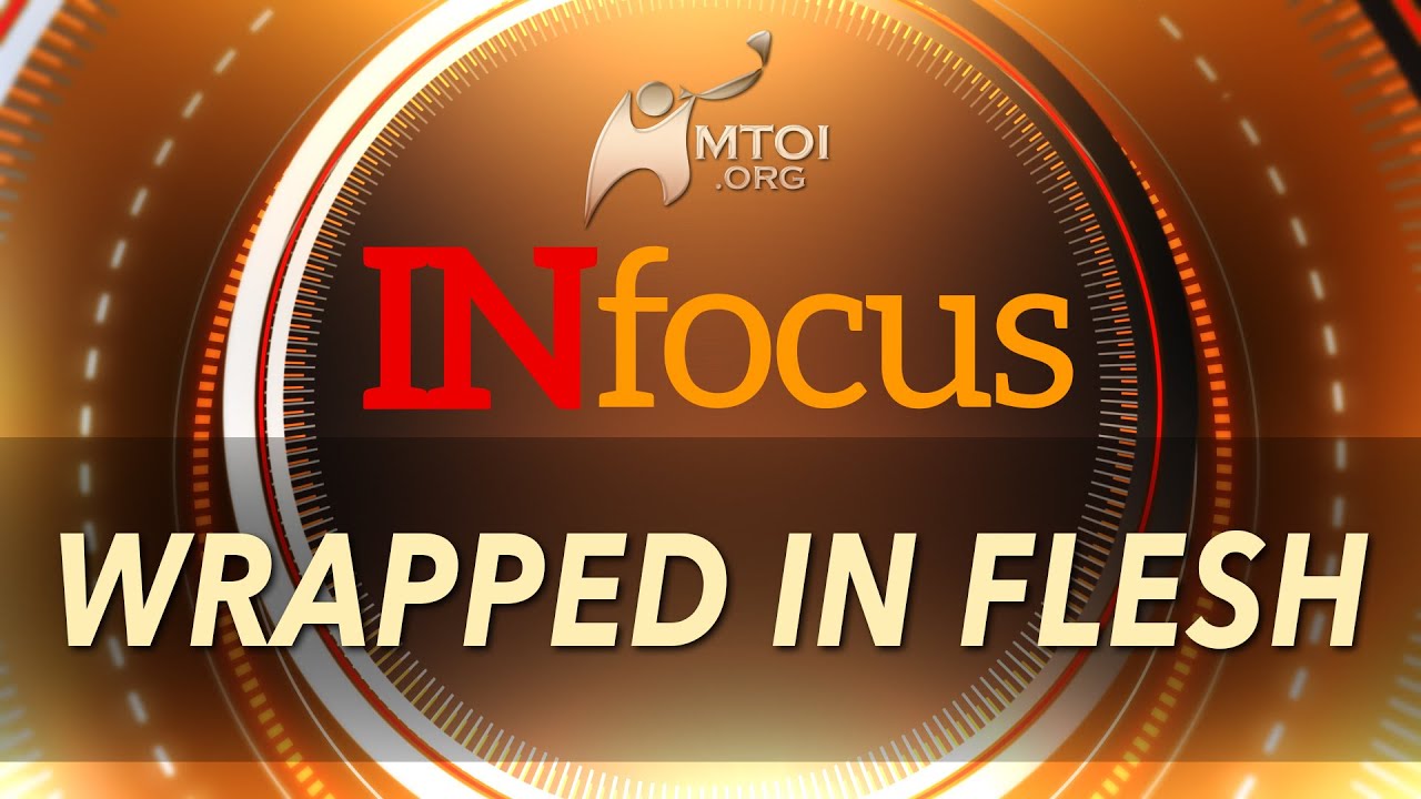 INFOCUS | Wrapped in Flesh - YouTube