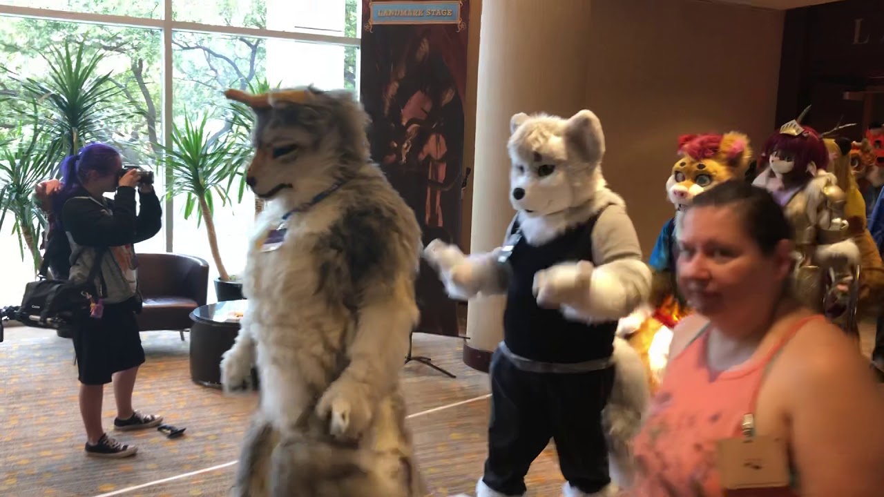 TEXAS FURRY FIESTA TFF 2019 Fur-suit parade unedited phone recording ...