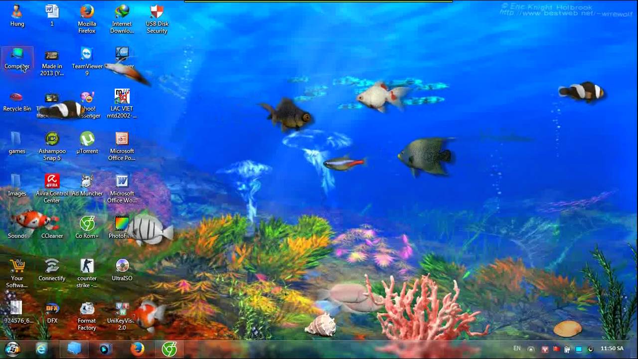 Windows fish screen - YouTube