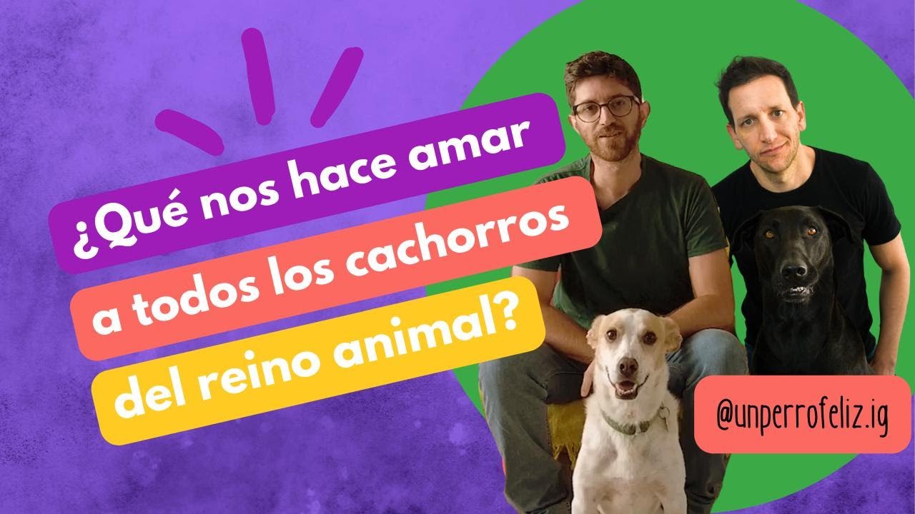 TEMPORADA 5: BIENESTAR ANIMAL - ¿Qué nos hace amar a todos los ...