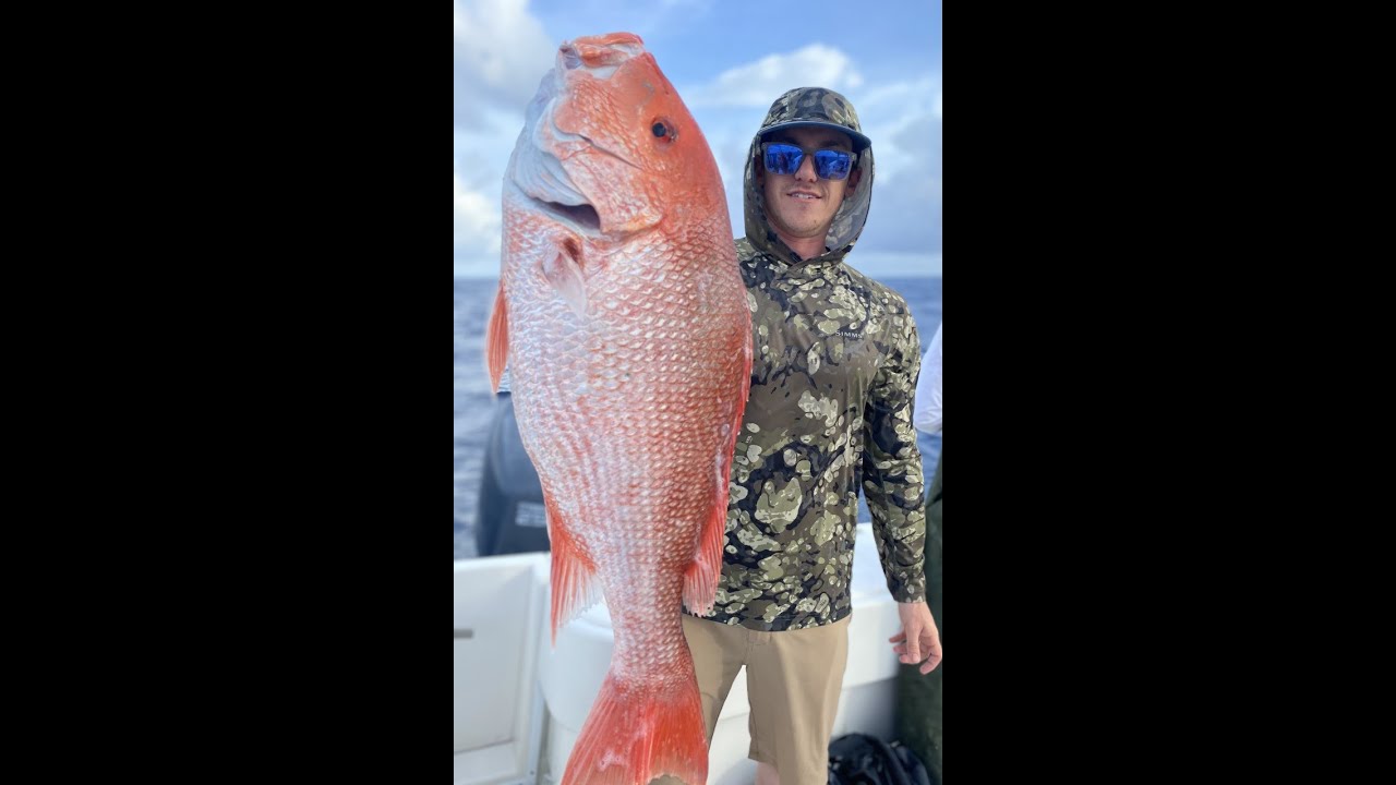Gulf Of Mexico Red Snapper - YouTube