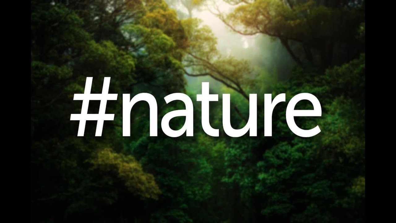 THE Nature Real History WOULD BOOCK - YouTube
