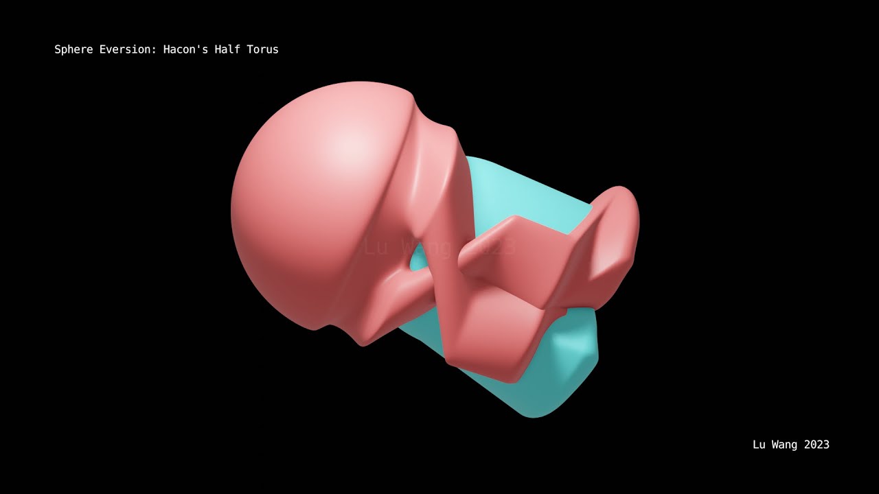 Sphere Eversion: Hacon's Half Torus - YouTube