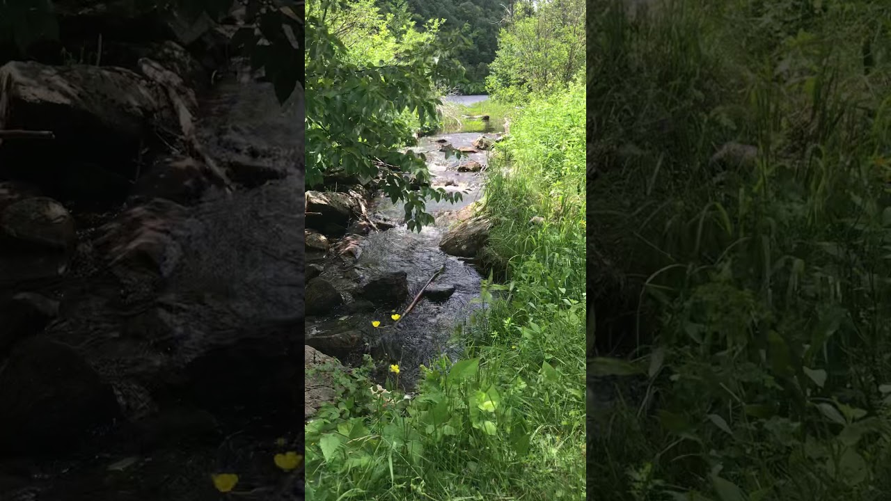 Mini AdVANtures with Go Van Gogh #1 - YouTube