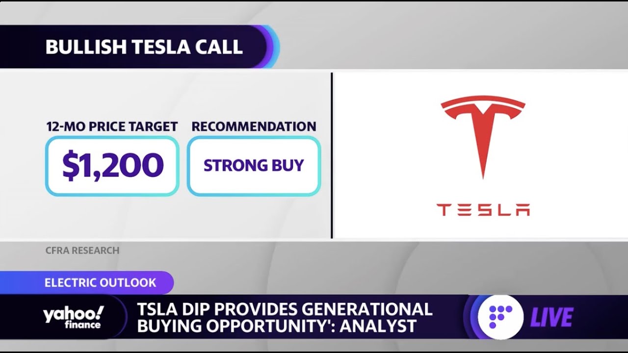 Tesla stock dip is ‘a generational-type opportunity’ for investors ...