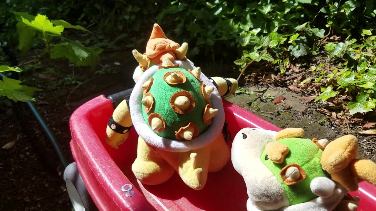 Bowser Jr goes for a ride - YouTube