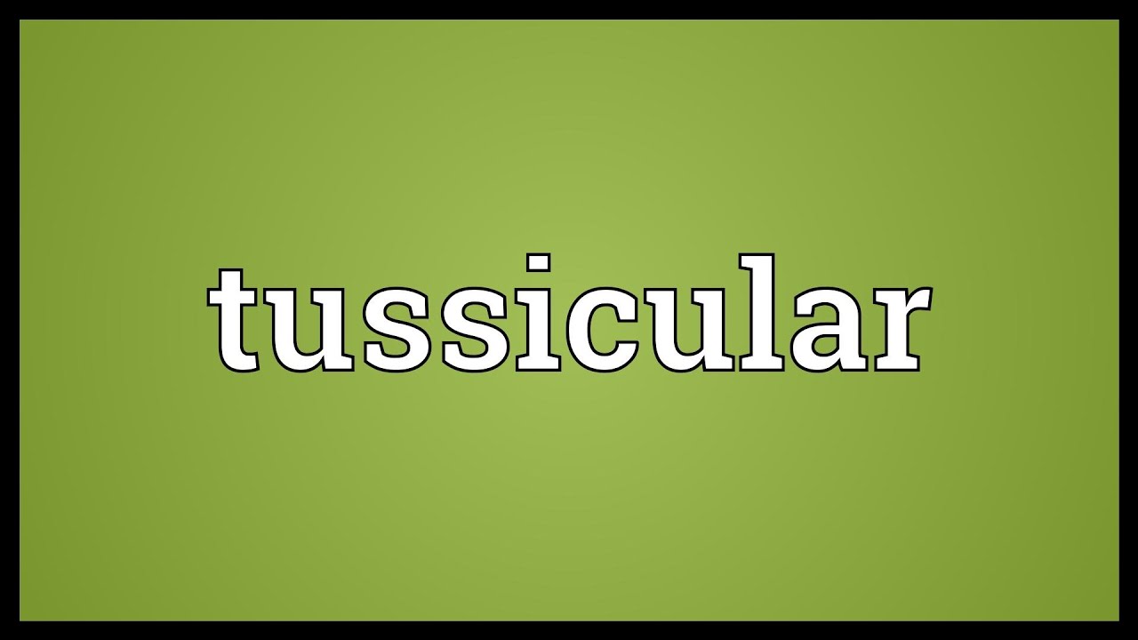 Tussicular Meaning - YouTube
