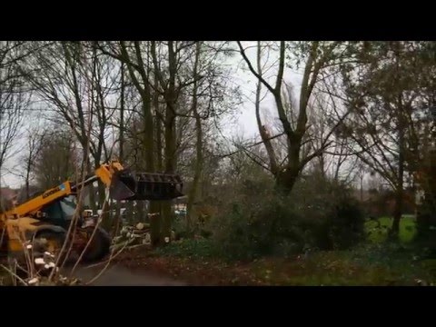 ABG Maldegem boom vellen - YouTube