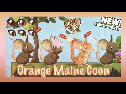 Transformice: Orange Maine Coon (Cat) Fur & Giveaway #34! - YouTube