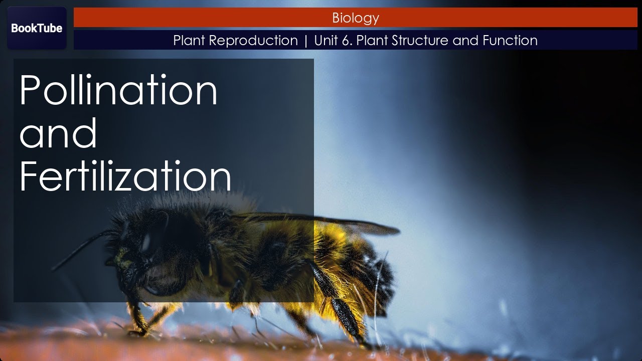 Pollination and Fertilization | Plant Reproduction | Unit 6. Plant ...
