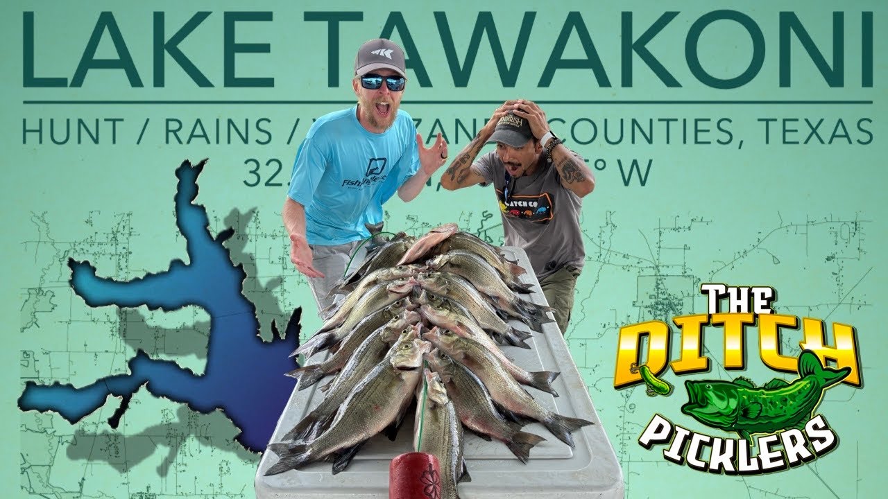 2 White Bass limits in 2 hours with Luck of the Irish Guide - YouTube