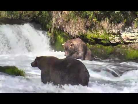 5;46pm 083016 747 and 480 Otis Katmai National Park and Explore - YouTube