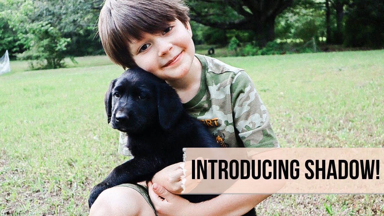 Introducing Shadow - the newest member of the farm! - YouTube