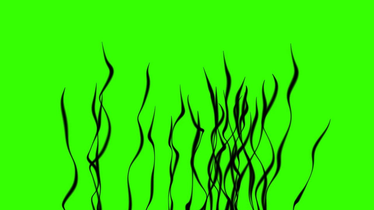 Algae Sea Animation 2 Green Screen FREE FOOTAGE HD - YouTube