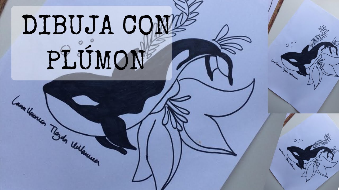 Tutorial: Dibuja con un plumón únicamente y sorprende a los demás ...