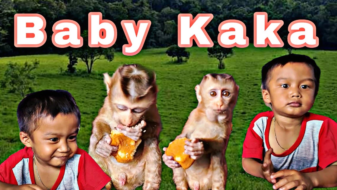 The kind brother gave Kaka a packet of cake to eat without eating ...