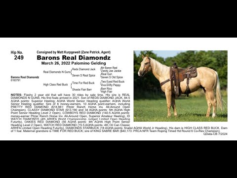 Pitzer Ranch Fall Sale 2024 Lot 249 BARONS REAL DIAMONDZ - YouTube