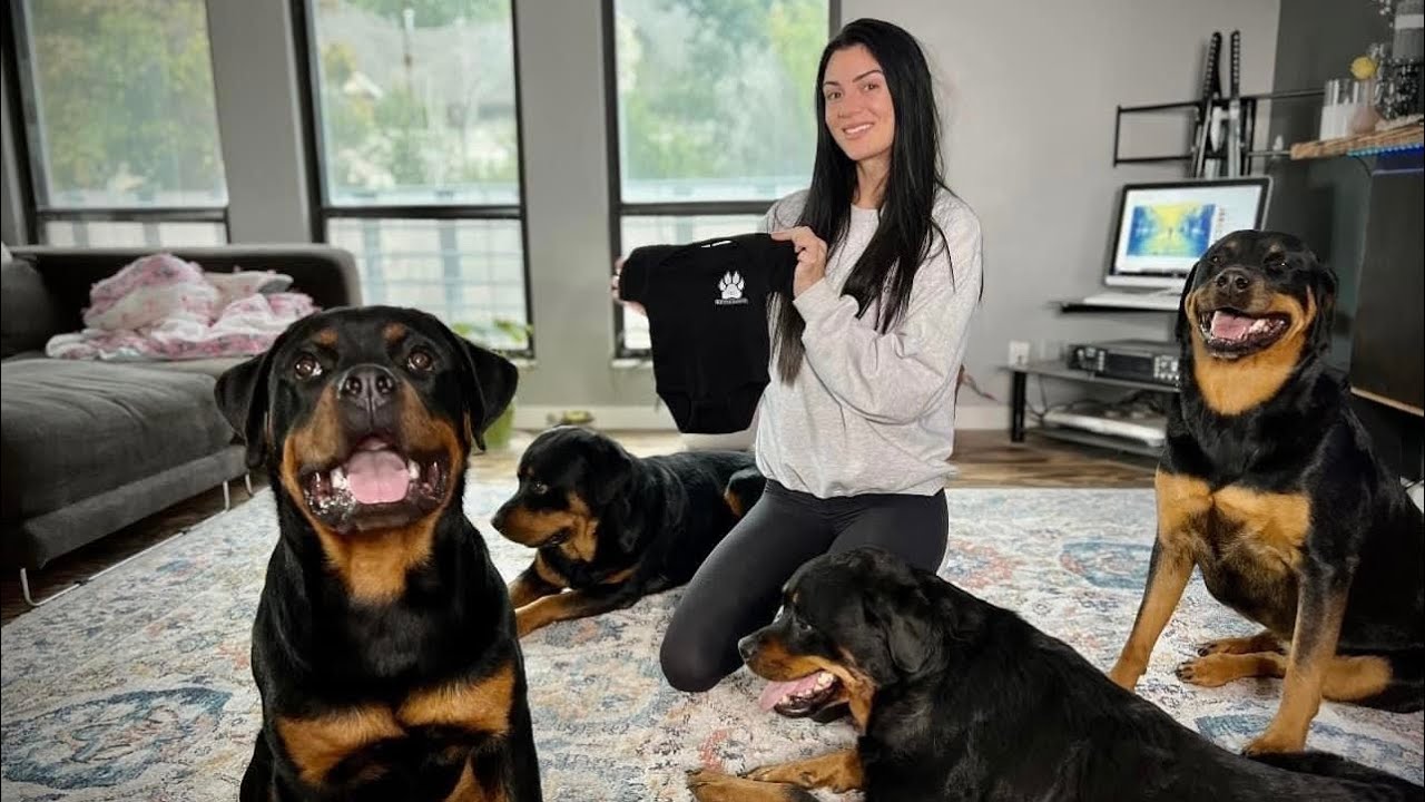Mom with four Rottweilers - YouTube
