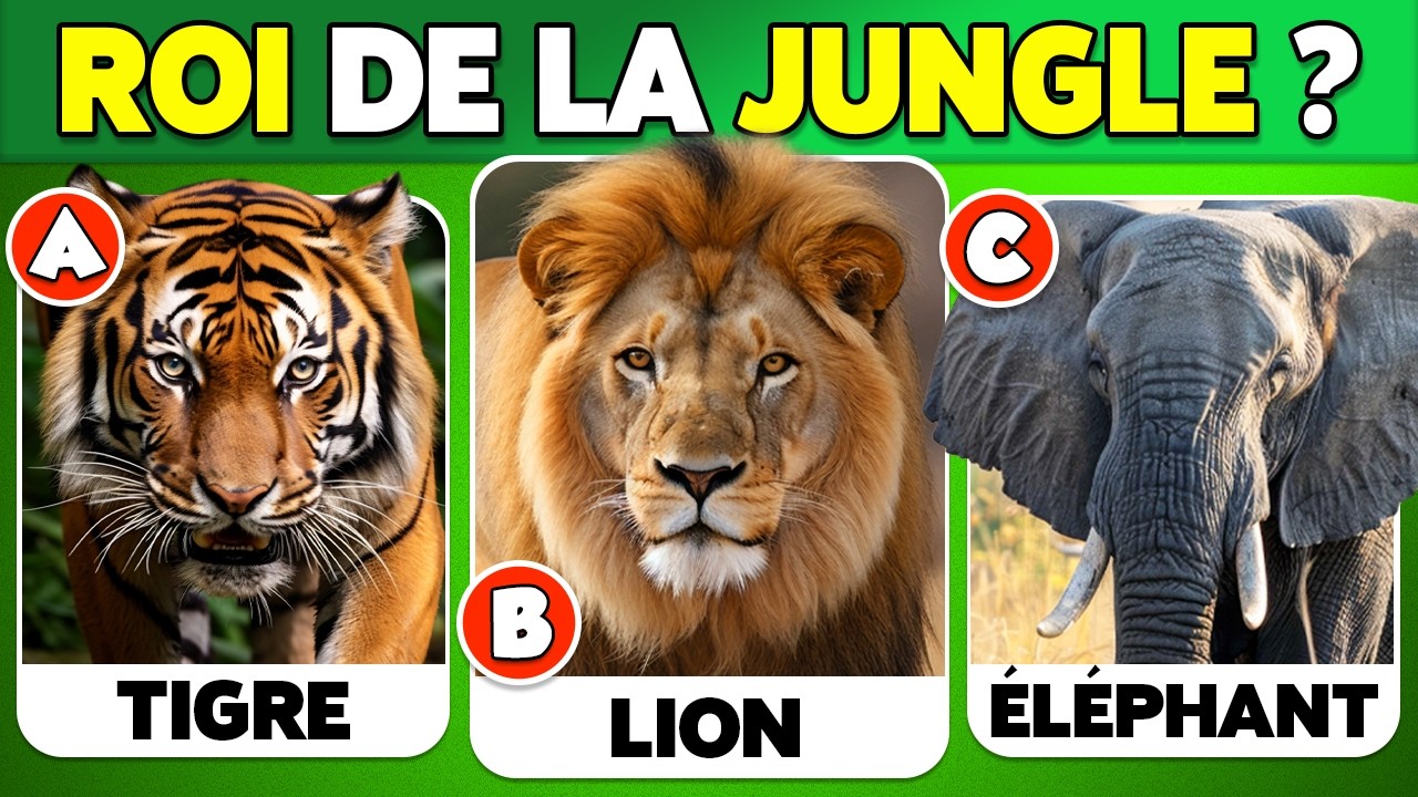 🧠 80 QUESTIONS sur les ANIMAUX 🦁 Connais-tu vraiment les ANIMAUX ...